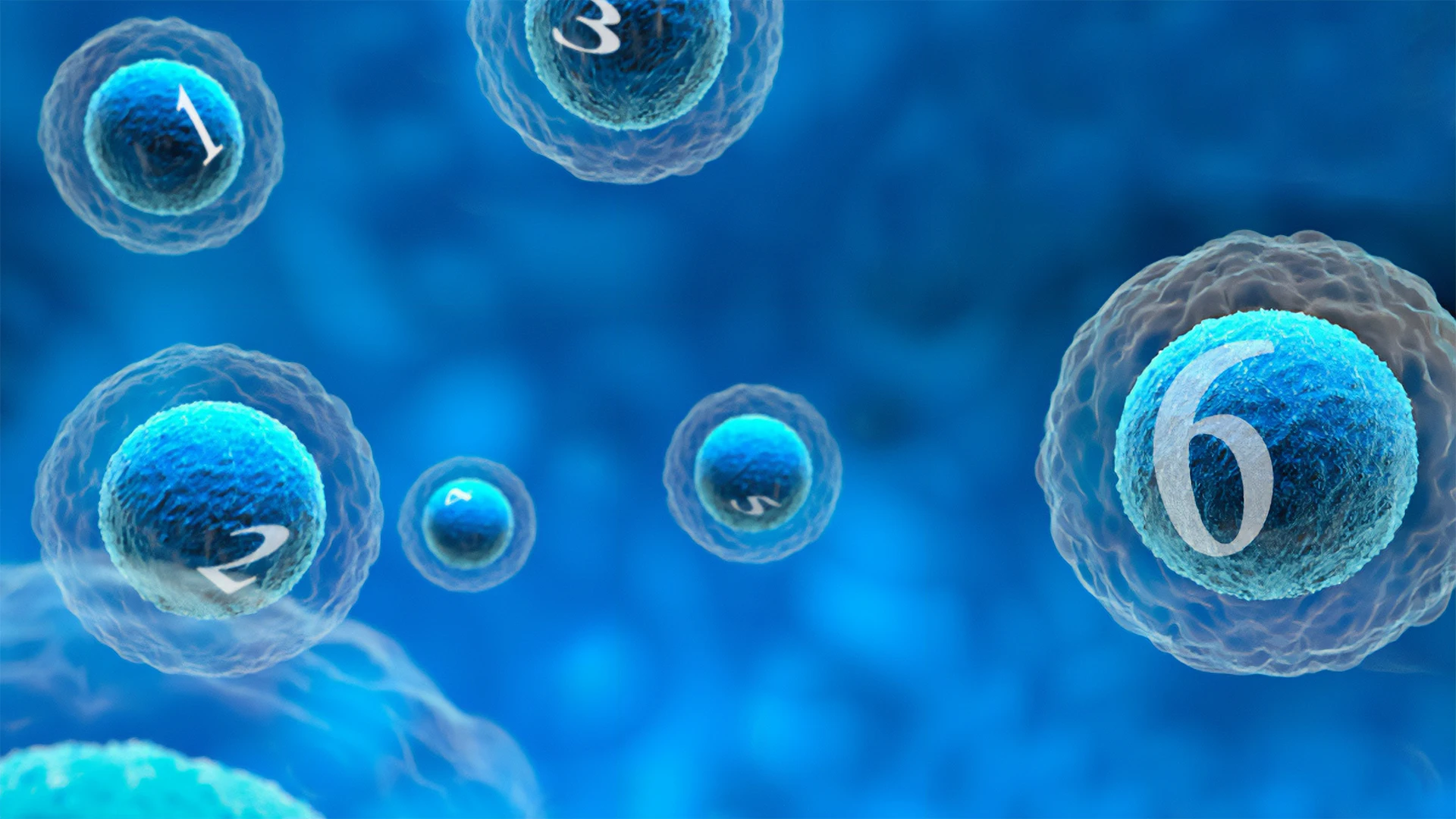 6 Factors For Improving Cell Counting Results Revvity
